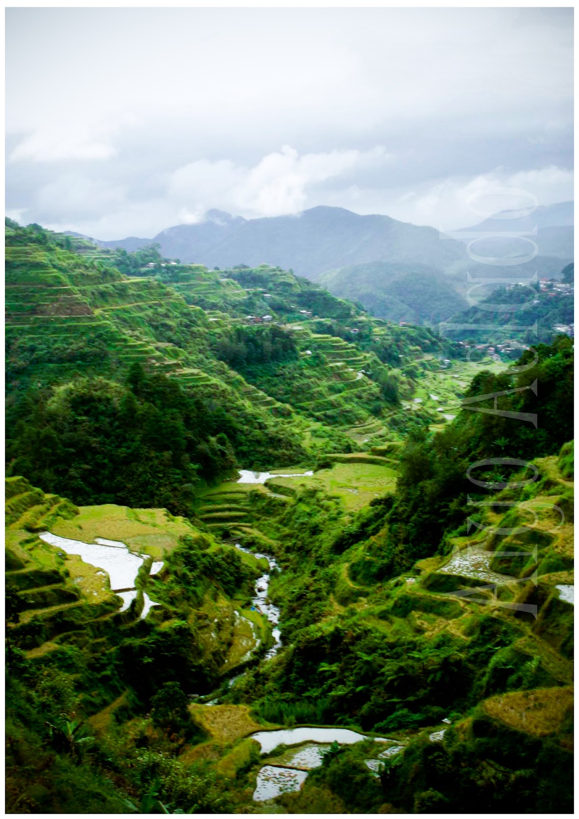 The Vacation Preview: Getting High (Sagada, Mountain Province)