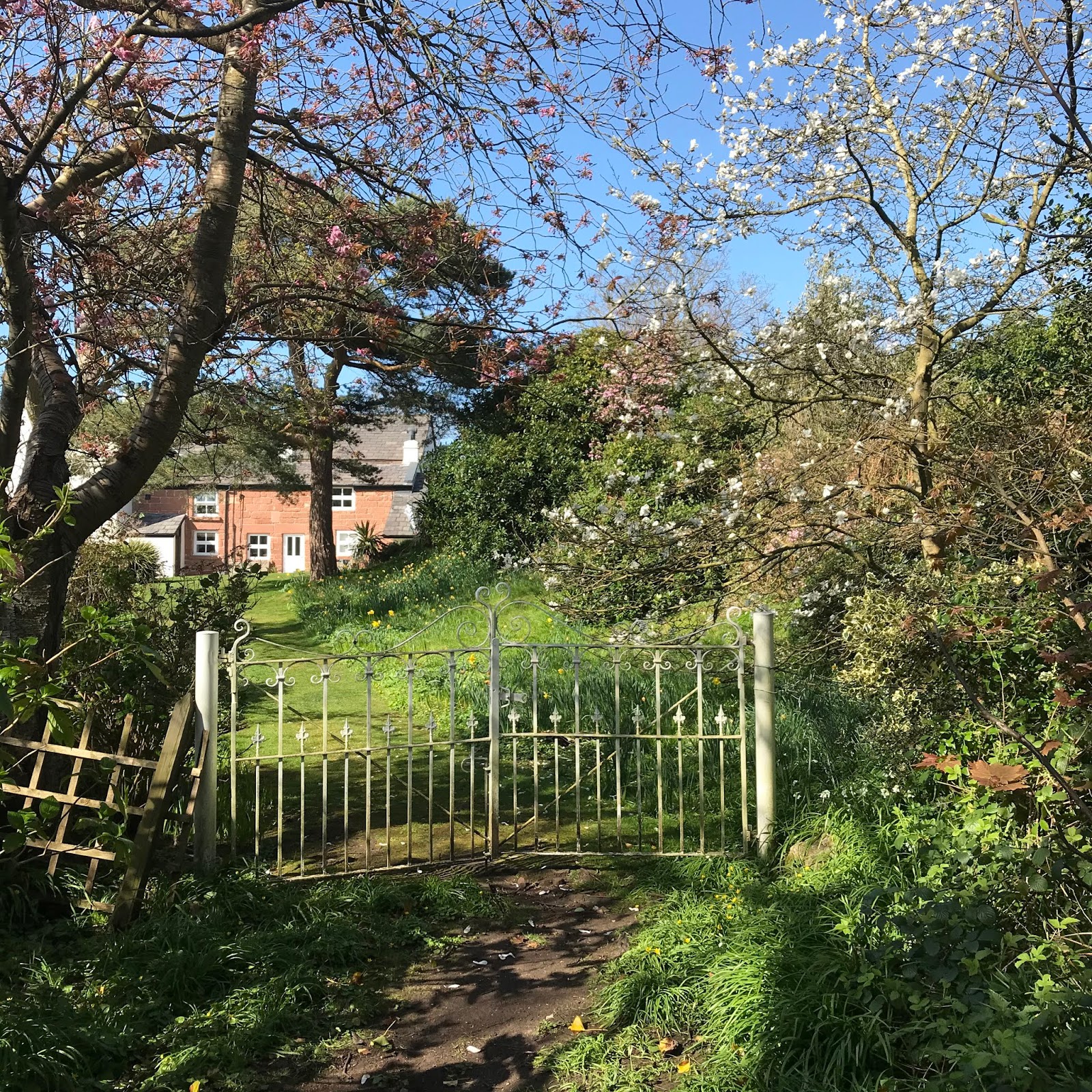 Helen Philipps: April 2020