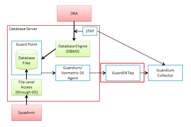 INSIGHTS: Type 1 Guardium STAP for Guardium/Vormetric Data Encryption