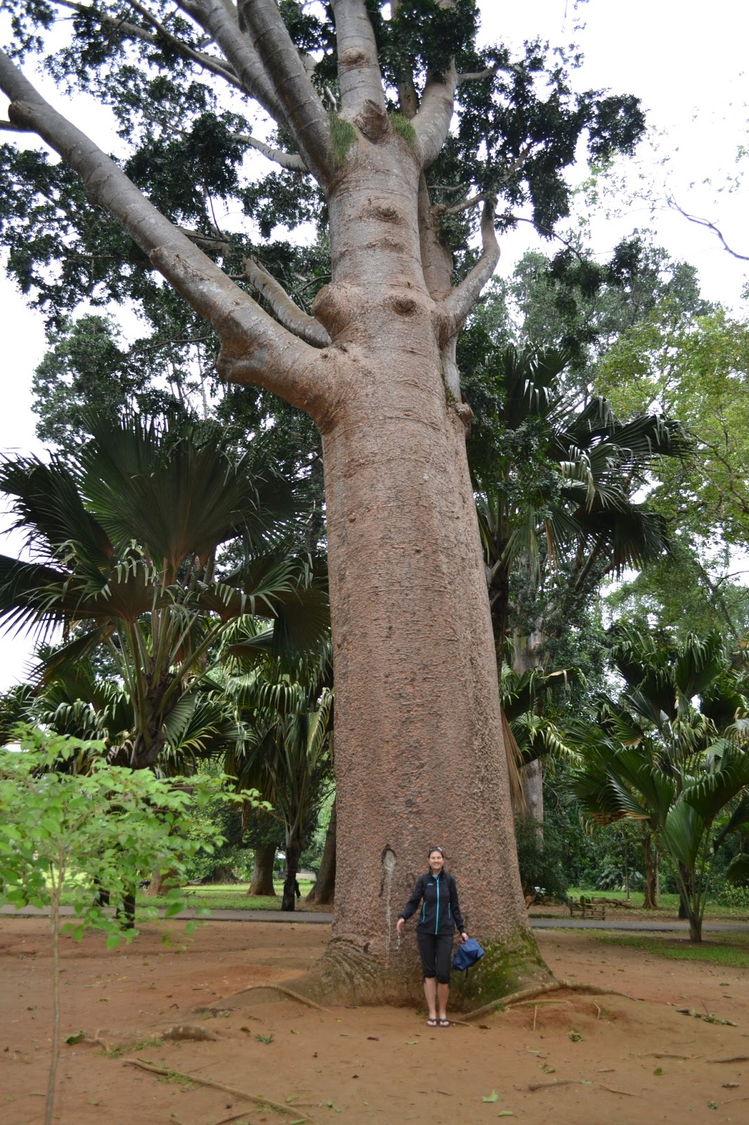 World Through Andreja's Eyes: ŠRILANKA: DAN V KANDY-U (12. dan)