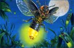 Aralin sa Filipino: Alamat ng Alitaptap