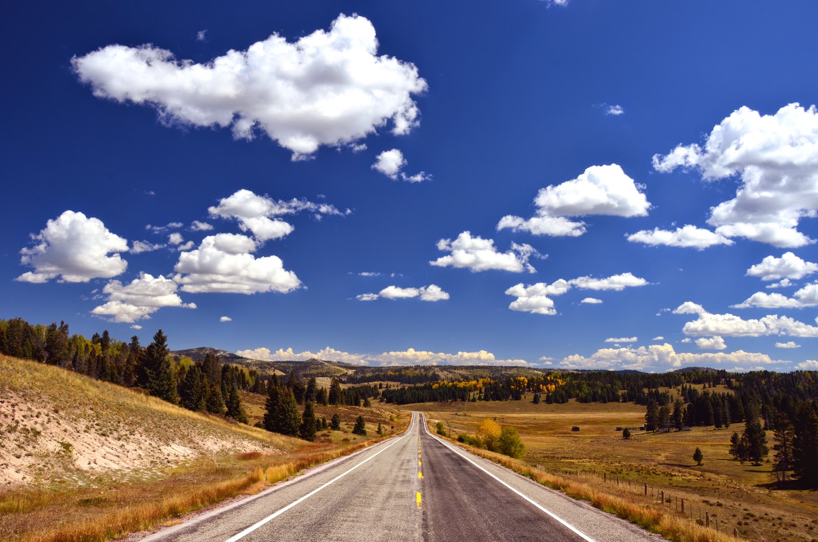 OUTDOORS NM: Take a Drive & Enjoy New Mexico's Fall Colors