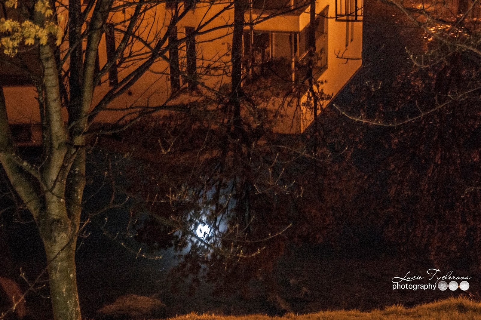 VISITOR'S VIEW ON IRELAND: The Grand Canal Dublin walk - beautiful ...