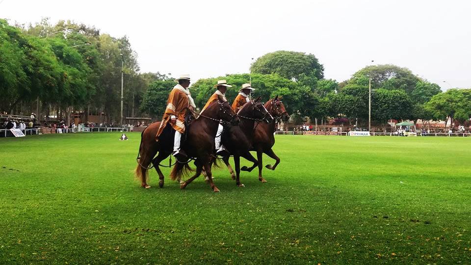 DEPORTES Boston: 3 ene 2017