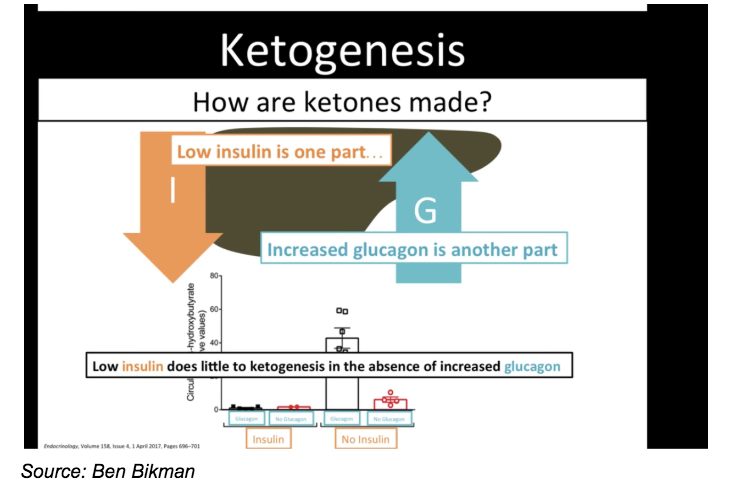 9 principais benefícios de comer sebo bovino - Estilo de Vida Carnívoro