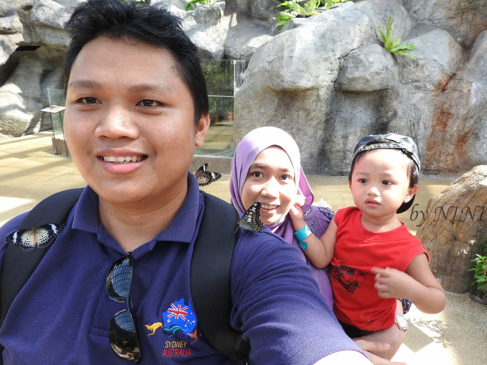 SYAMIL @ ENTOPIA / TAMAN RAMA-RAMA PENANG / PENANG BUTTERFLY FARM ...