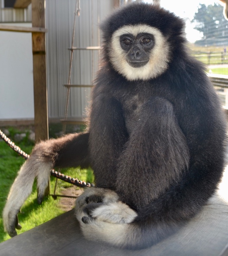 Wildwood Wildlife Park