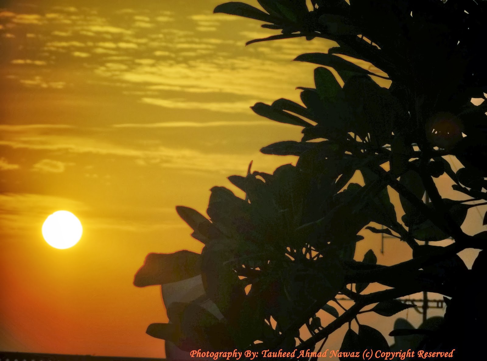 Tauheed Ahmed Nawaz Photography: Early Morning Sun Rising