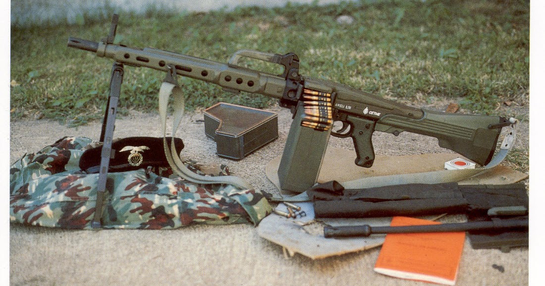 Ametralladora AMELI o MG 82 | Armas de Fuego