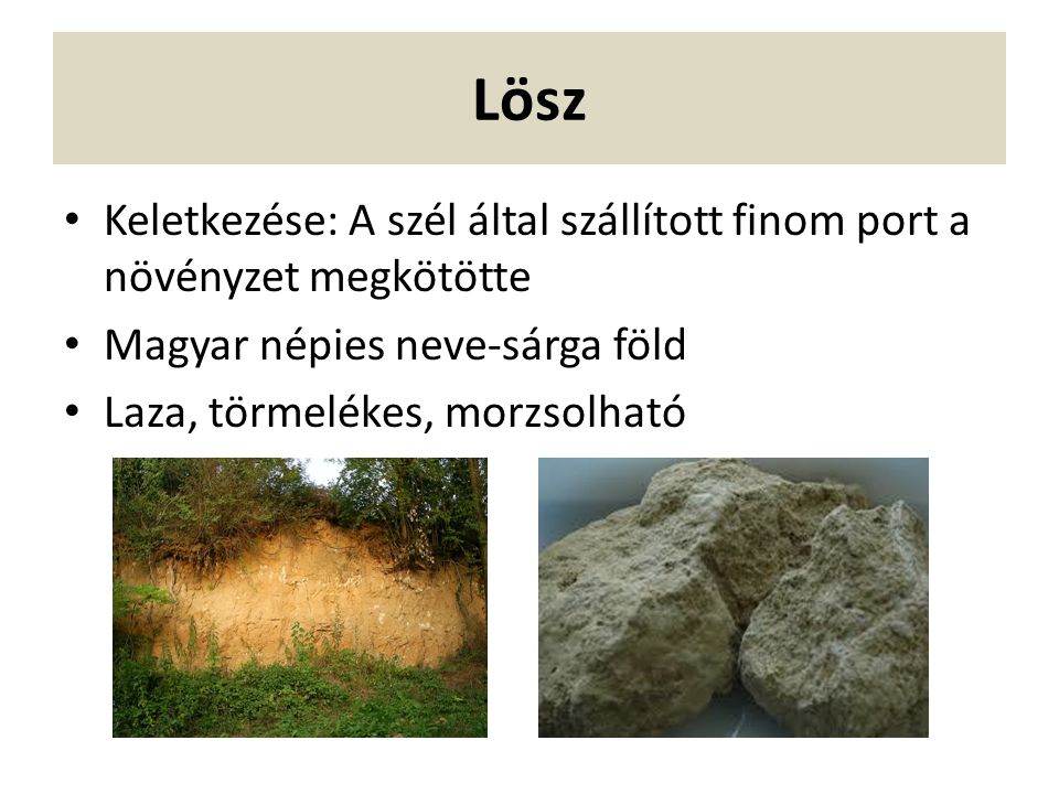5.a osztály: Természetismeret
