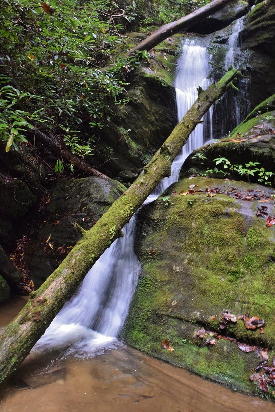 Waterfall Hero Hikes: Double Drop Falls (Gorges)