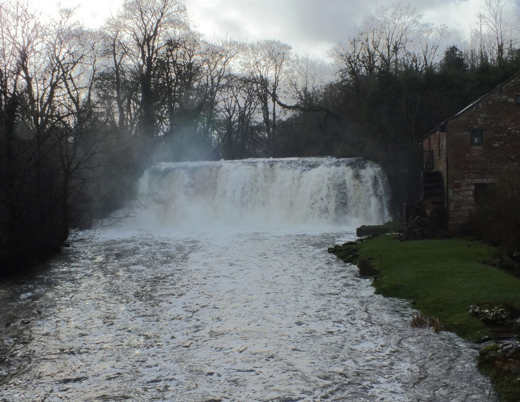 Lancashire and Lakeland Outback Adventure Wildlife Safaris: Trundling ...