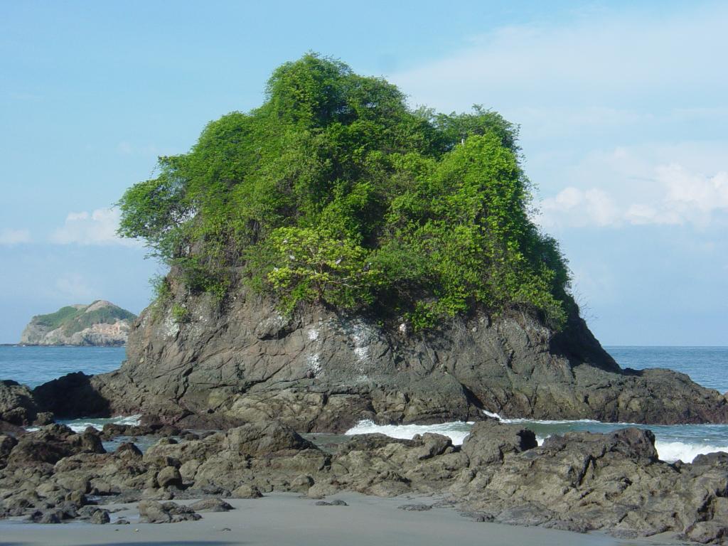 ECOSISTEMAS DE COSTA RICA: COSTA ROCOSA