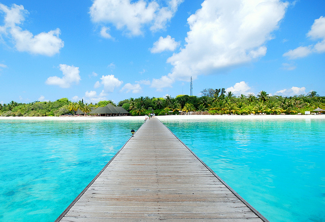 The Digital Monk's blog: ~ Welcome to Paradise!