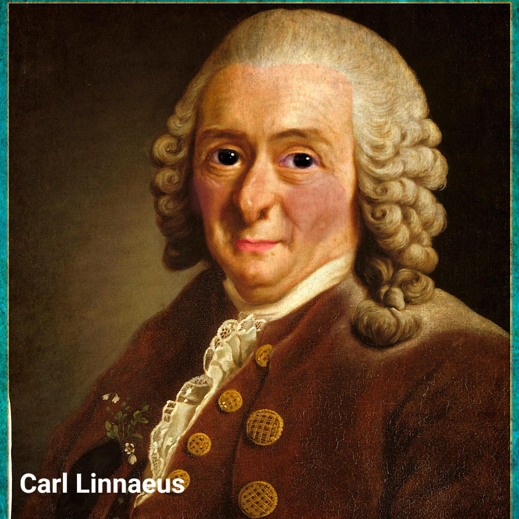 Carl Linnaeus