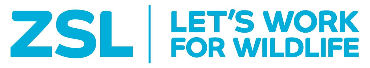 Fay's Studio: London and Whipsnade Zoo (ZSL)