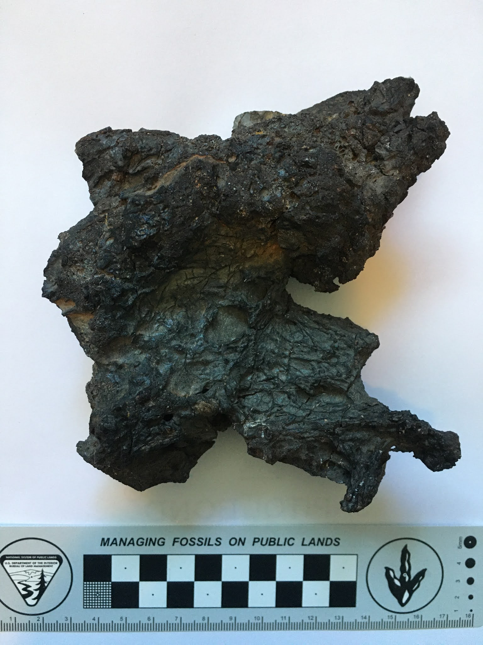 Drunk on Geology: 2020