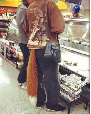 AbbyNormal: chasing tail