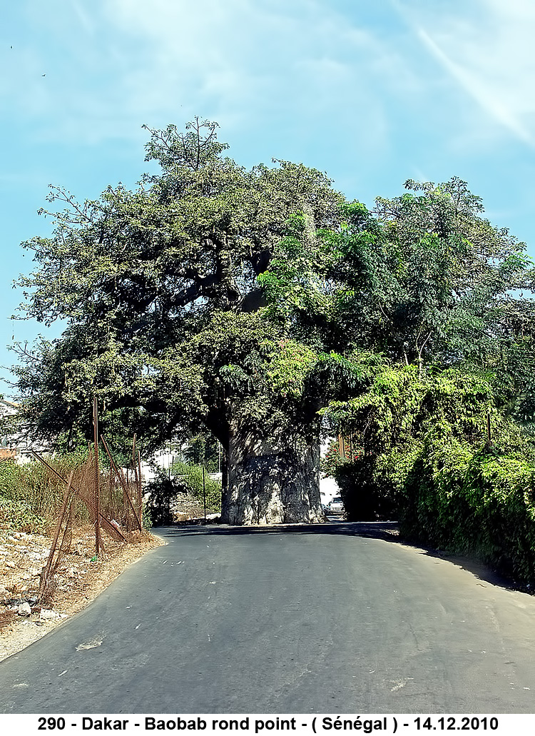 Mon Espace photographique: 3-P6/6-SÉNÉGAL