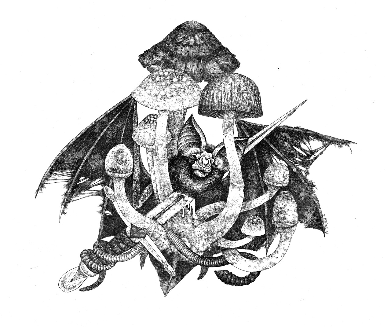 Mister Beaudry's drawings...: Death Bat