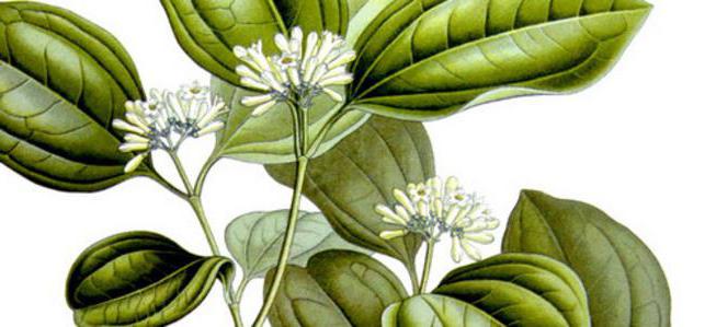 O QUE É ESTRICNINA?