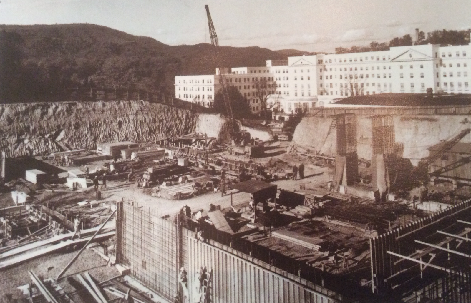Tangled Roots and Trees: Project Greek Island: The Bunker