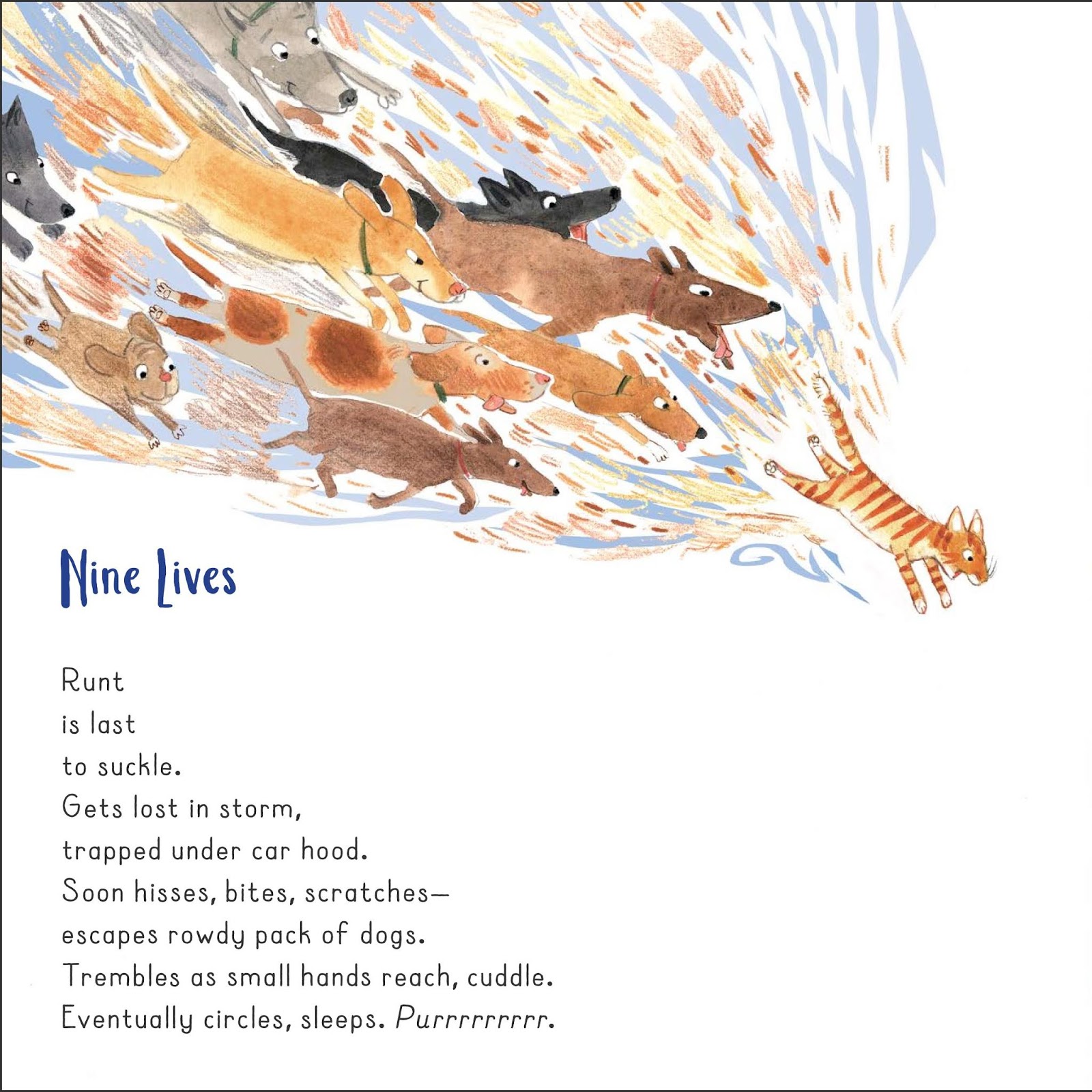Live Your Poem...: "Nine Lives" poem from NINE: A Book of Nonet Poems ...