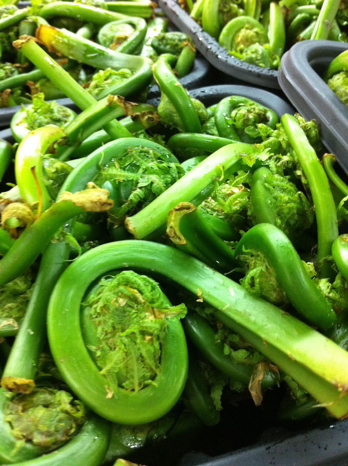 The Root Cellar ~ Victorian Food