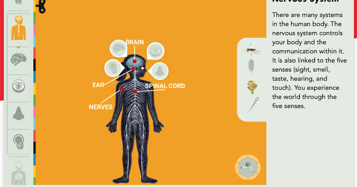SpeechTechie- Technology, Apps and Lessons for SLPs and Teachers who ...