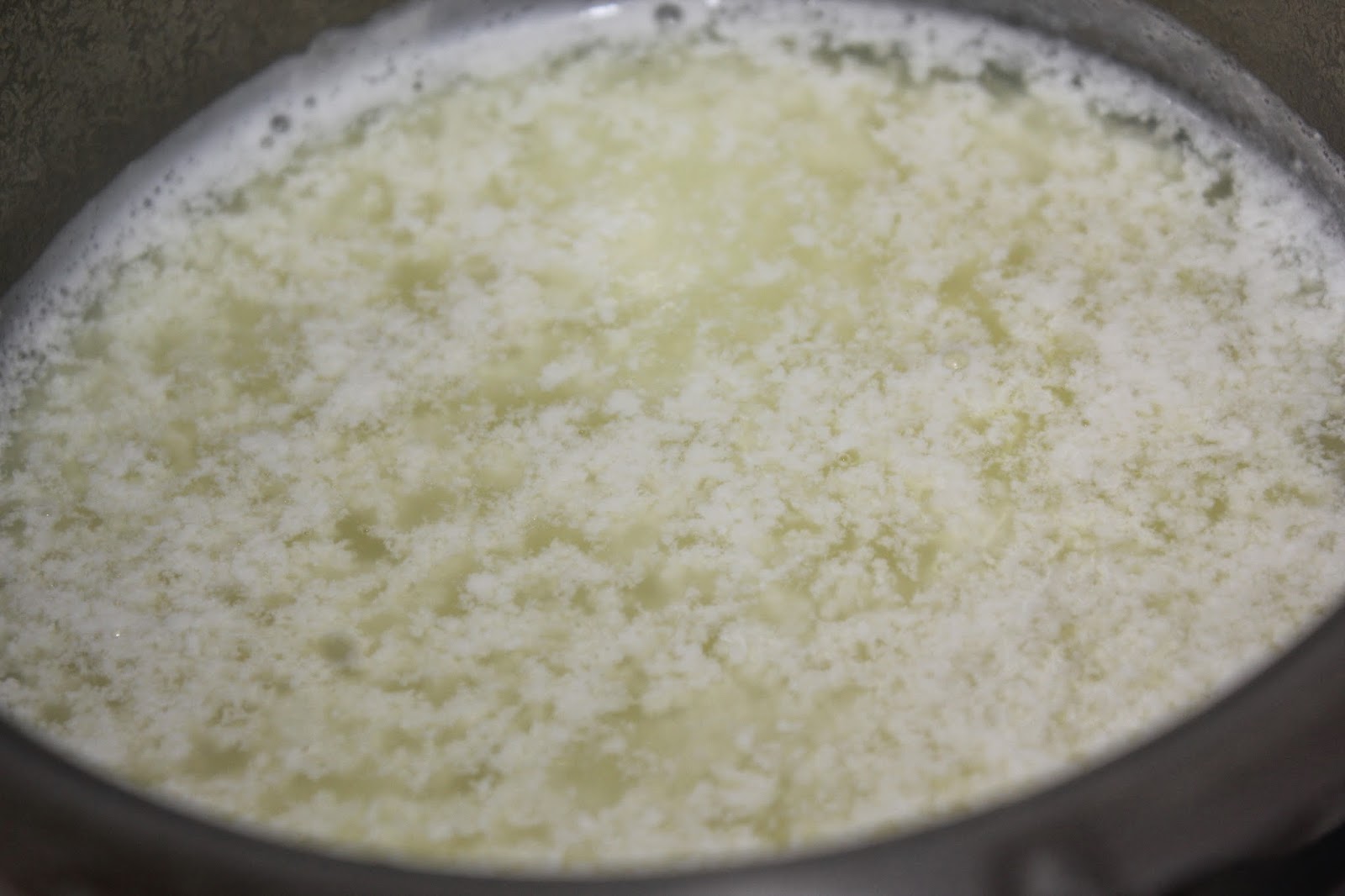 MAA ABHIRUCHI: The making of Butter, Ghee, Paneer and Whey Water