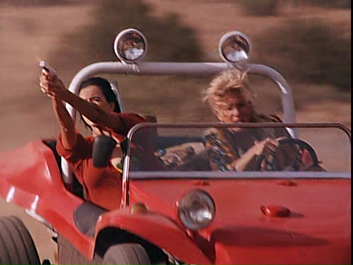 DeadShed Productions: Hard Hunted (Andy Sidaris, 1992) Review