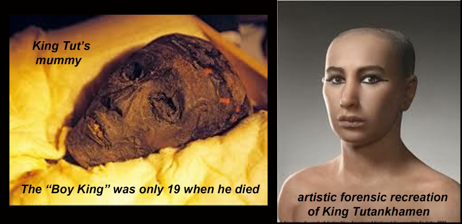 Anita Jo Intenzo-Haunted Author: THE CURSE OF KING TUT-IS IT REAL?