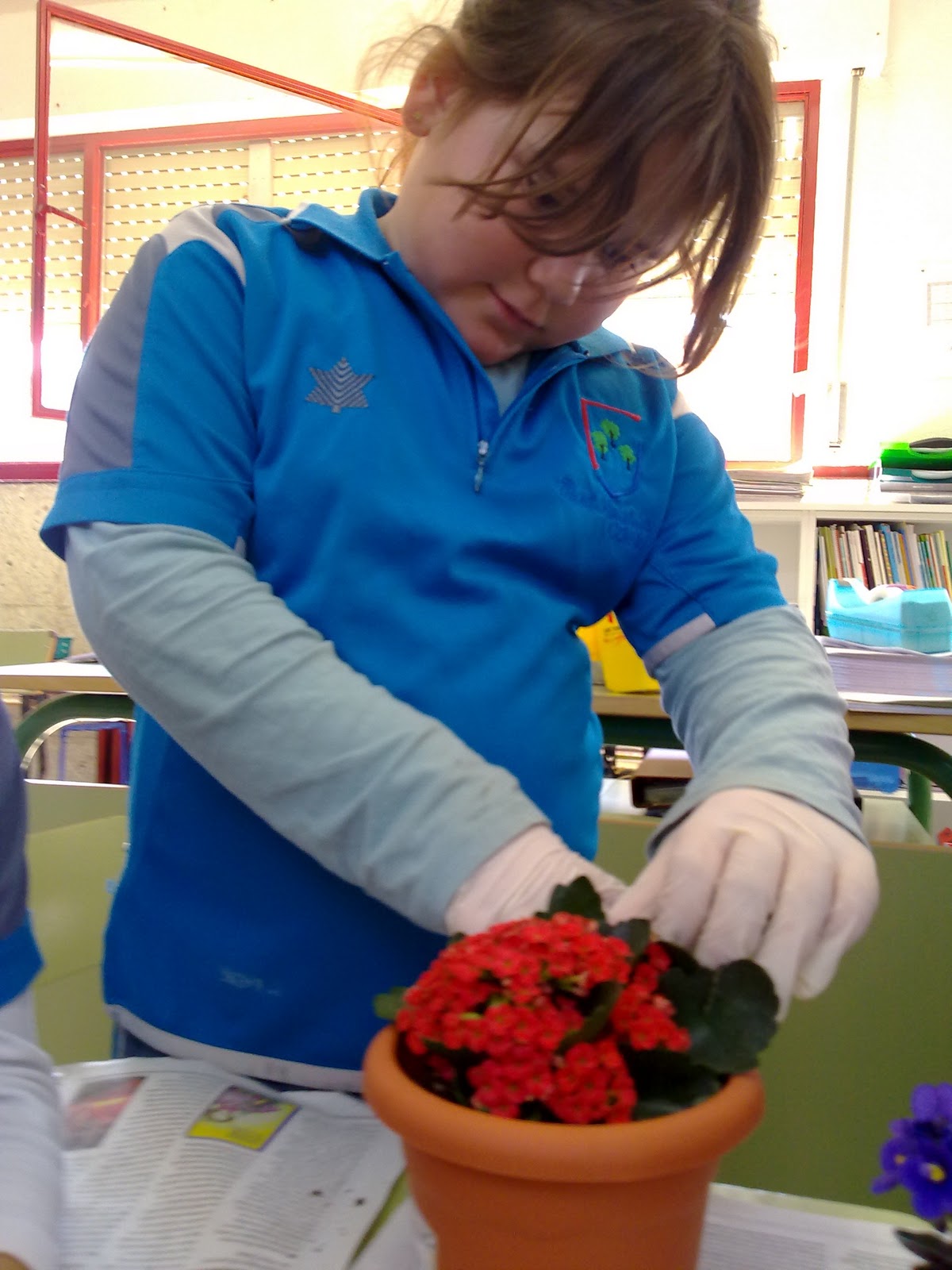 Blog Colegio Monteazahar Taller De Jardinería En 1º De Primaria