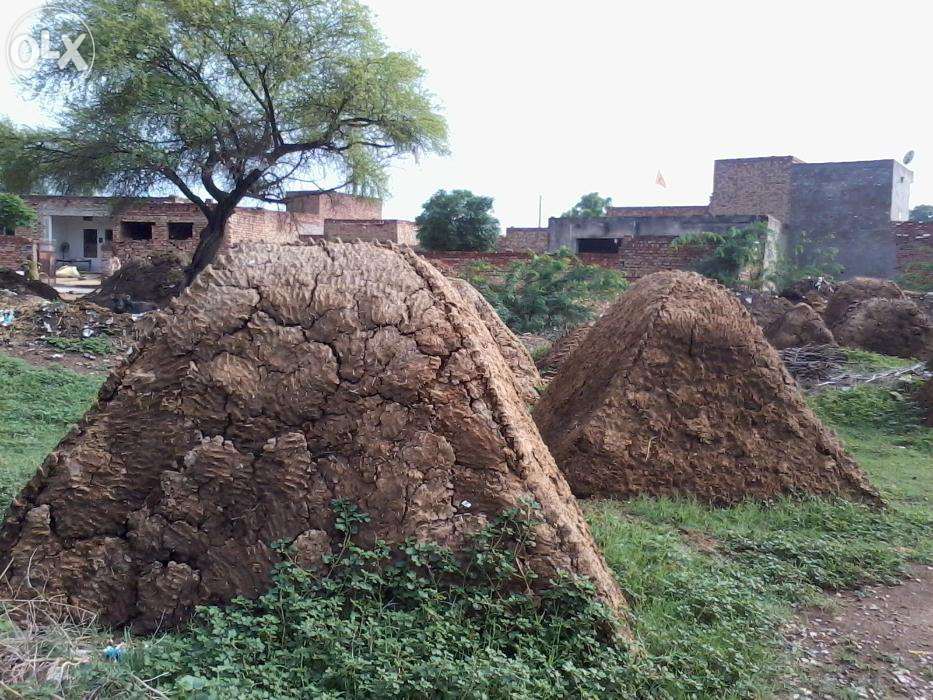 हरियाणा सरपंची के इलेक्शन 2016 एक खास पेशकश - By Parvinder Singh