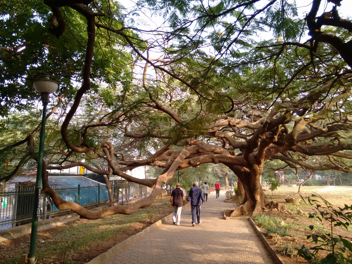 9 Famous Parks In Bangalore | Gardens in Bangalore to Hangout | Treebo ...