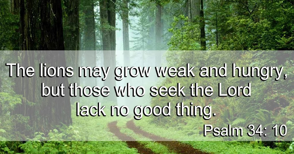 Verse of the day - Psalm 34:10