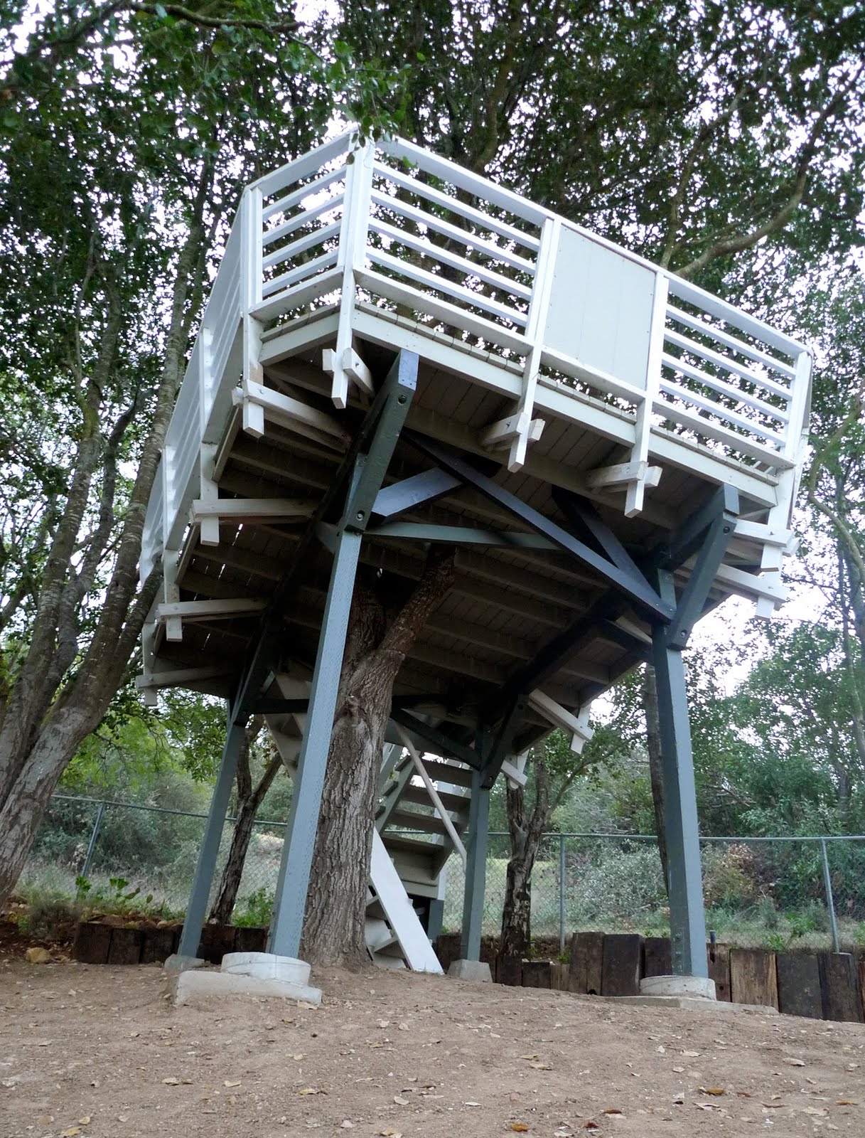 Able + Baker Design: Treehouse or Deck?