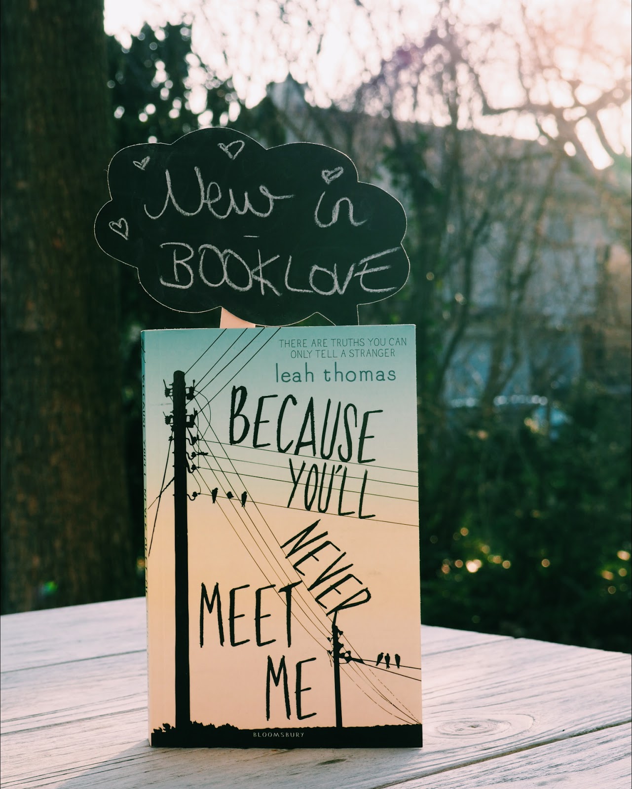 5 Gründe "because you´ll never meet me zu lesen" - REZI - Wonderworld ...
