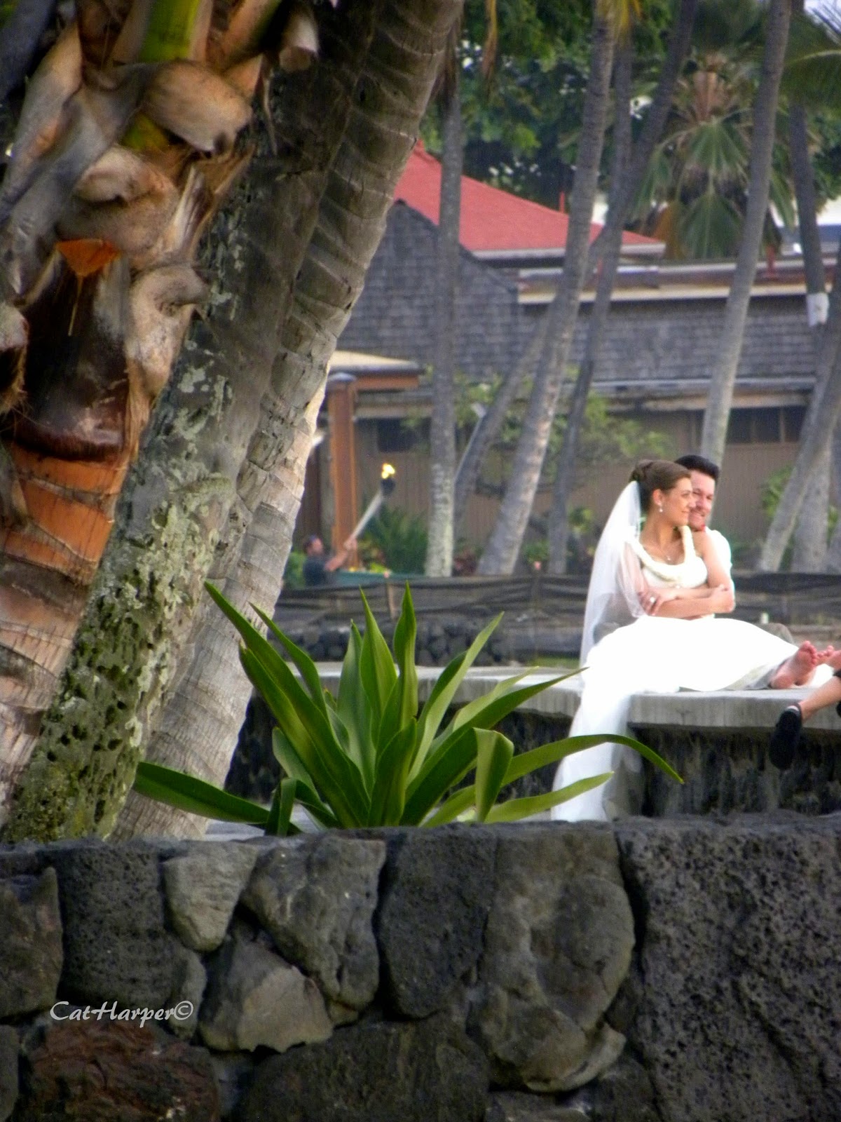 Shutterbug Traveler: The Big Island: Hawi and Pololu Valley Lookout