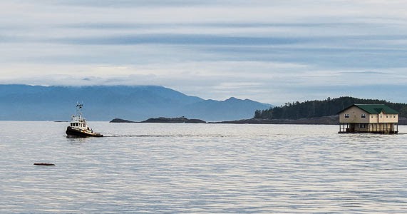 OnTheMove-Cruise News: Smith Inlet, Part 1