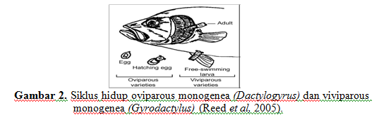 drh. Dewi Murni: DIAGNOSA INFEKSI Aeromonas hydrophila dan INFESTASI ...