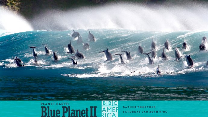 Inspired by Savannah: DISH News: Watch BBC America's Blue Planet II in ...