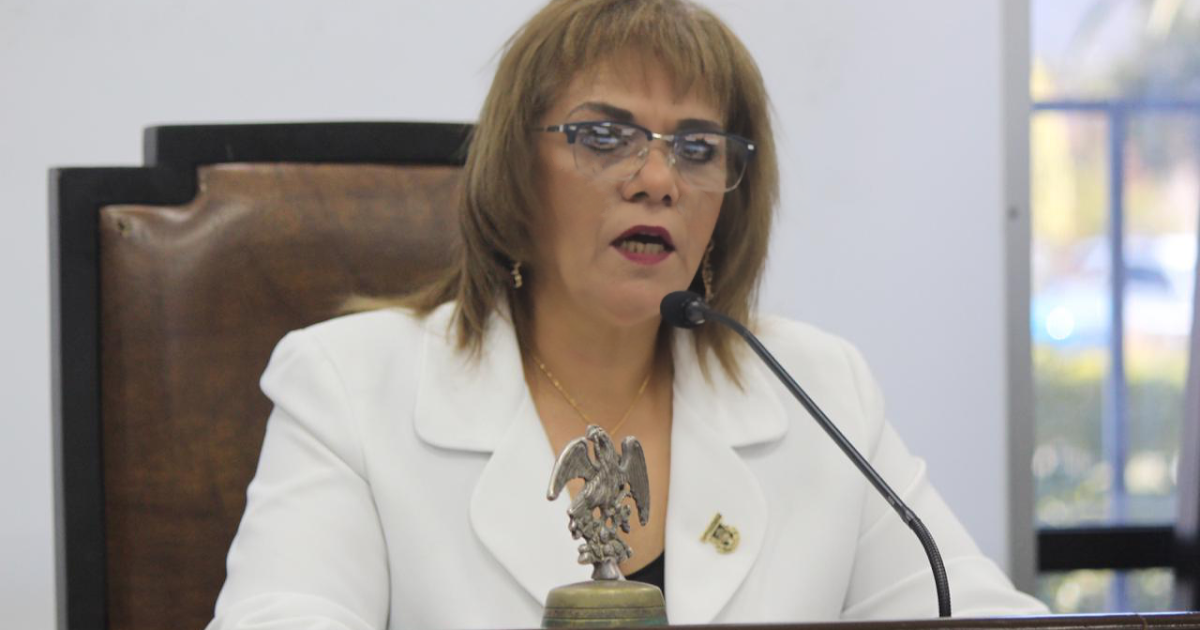 -DPDM-NOTICIAS.: LLAMA DIPUTADA ELIZABETH ROCHA A TRABAJAR EN 2020 SIN ...