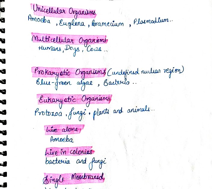 class 9 biology important points
