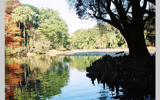 Nitiê Students: Conheça o Horto Florestal