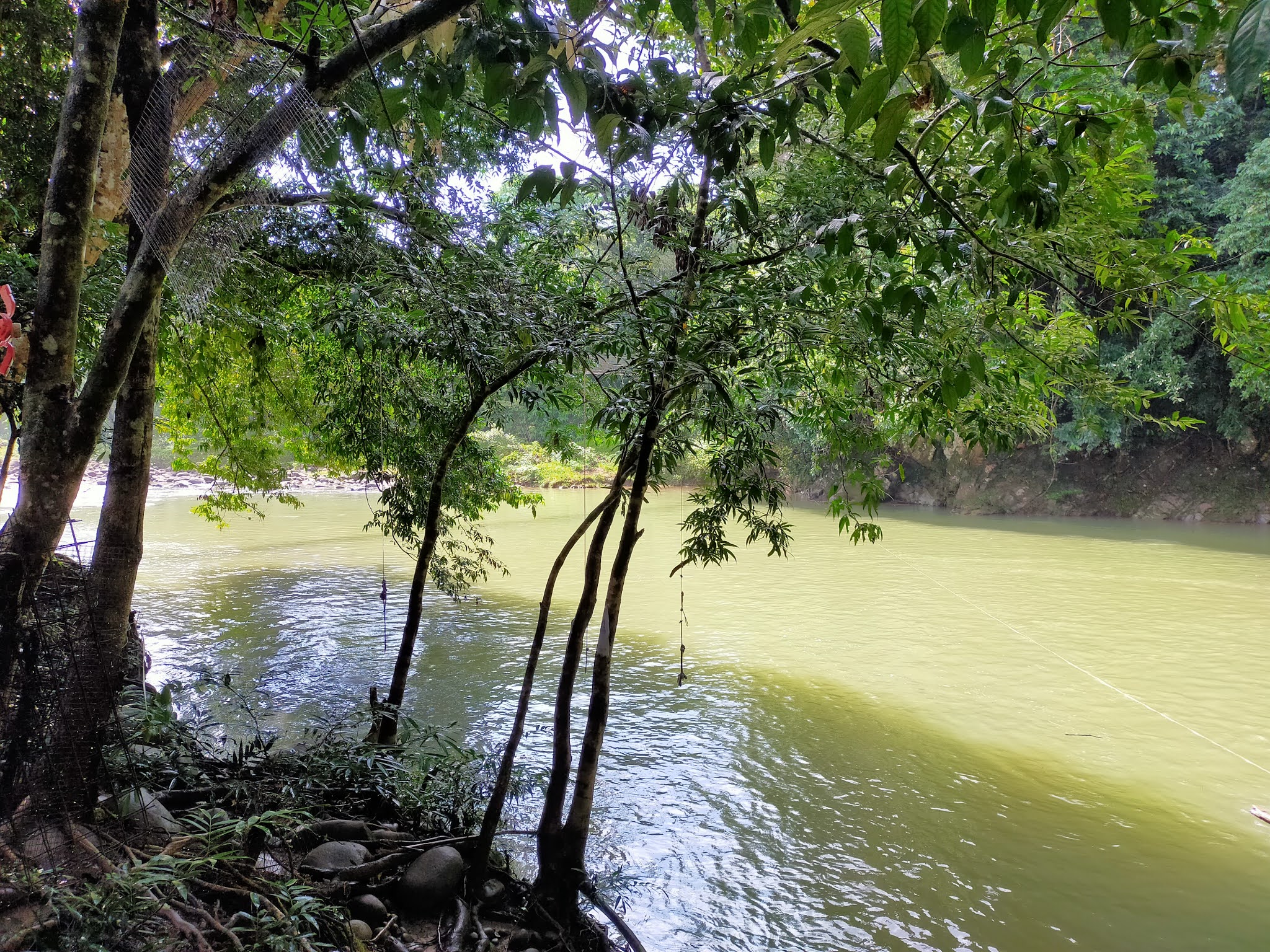 Mandalipau White Water View & Fish Pond