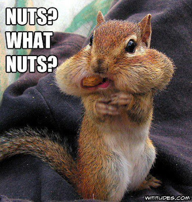Nuts what nuts!!!