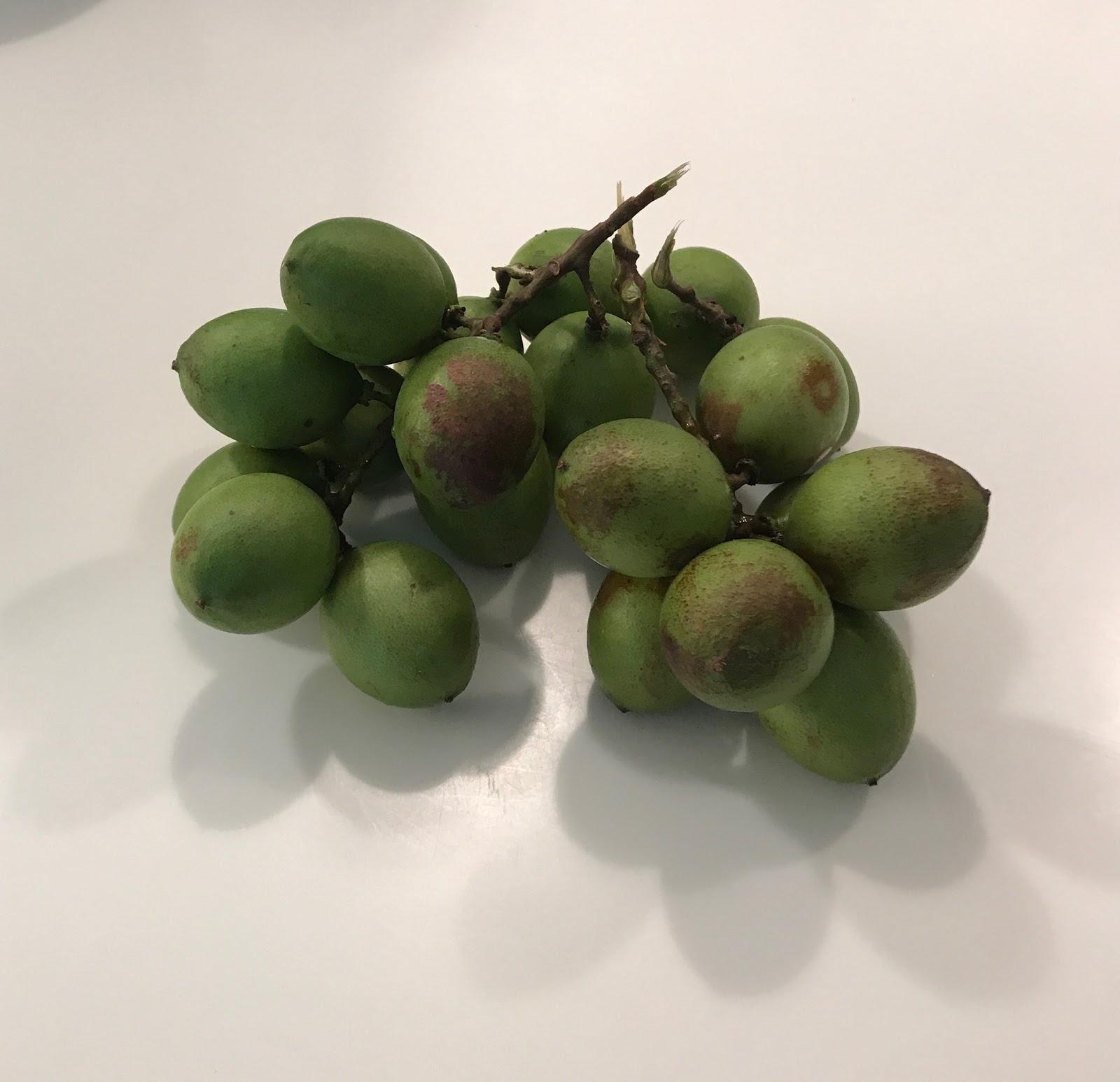 Curious Adventurer: October 2017