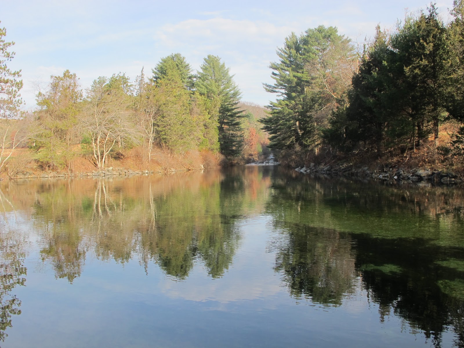 Fly Guy on the Run: Thanksgiving on the Swift River, MA- Much to be ...