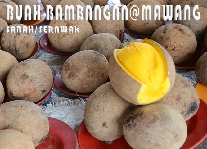 LORAS..Active To Survived: 59 Jenis Buah Hutan Yang Selamat Dimakan ...